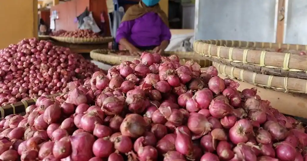 Harga Bawang Merah Sekilo Hari Ini di Malaysia 2026